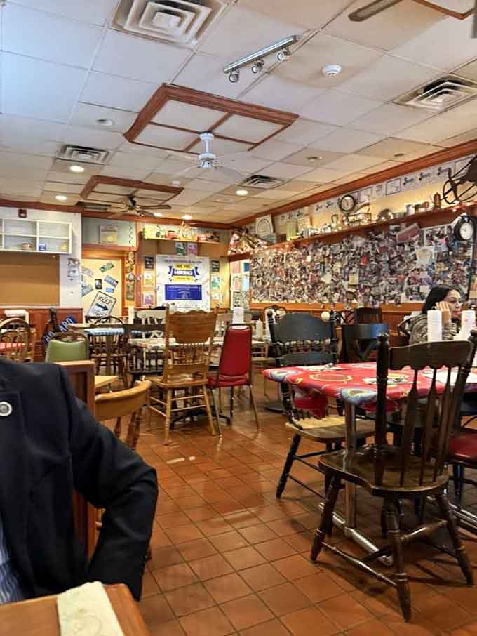 Mismatched chairs and tables create an eclectic dining room where comfort trumps coordination every single time.
