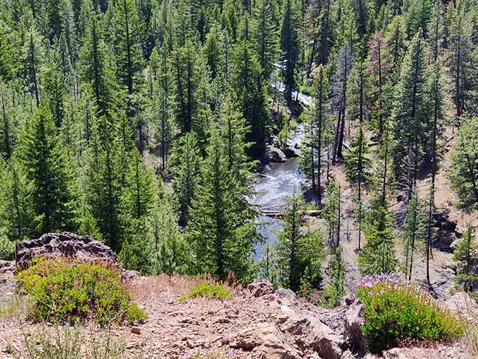 Whychus Creek Overlook offers views that make you forget about the uphill hike that got you there.