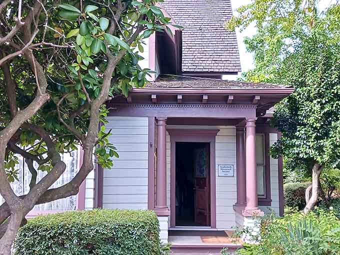 Victorian homes turned museums preserve the elegance of bygone eras, making history tangible and beautifully accessible to visitors.