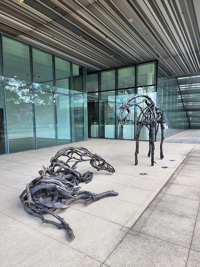 Bronze animal skeletons sprawl outside like prehistoric creatures taking an afternoon nap in the Louisville sunshine.