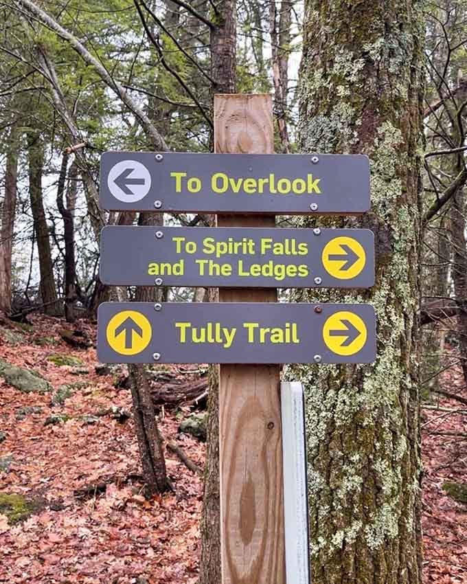 Yellow arrows pointing to Spirit Falls: follow them like breadcrumbs to your own personal nature paradise.