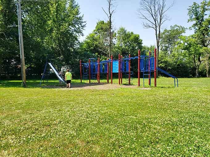 The playground ensures younger visitors have plenty to do after they've finished being amazed by giant stumps.