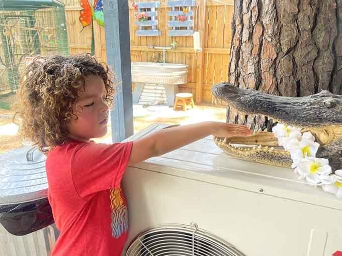 Educational displays teach visitors about these fascinating reptiles without any actual danger involved. Smart thinking.