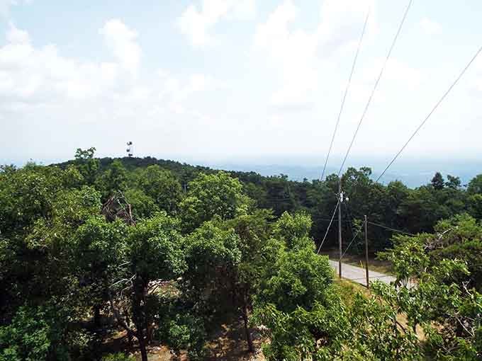 The highway curves through the forest like it was designed by someone who actually understood that getting there matters too.