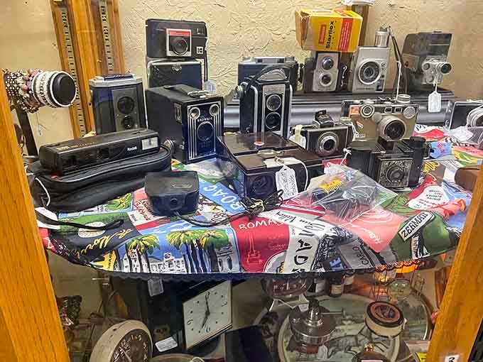 Box cameras and Brownies assembled like a photography museum, capturing memories before everyone carried phones in their pockets.