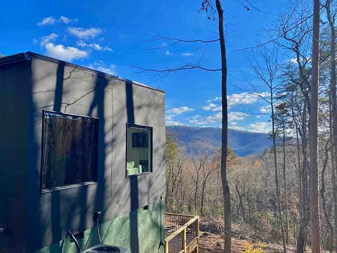 Winter's bare trees reveal layered mountain ridges stretching toward the horizon in every shade of blue and green.