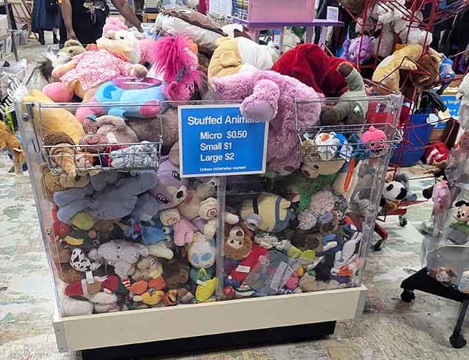 Stuffed animals awaiting adoption, ready to bring comfort to new homes or become parts of imaginative art projects.