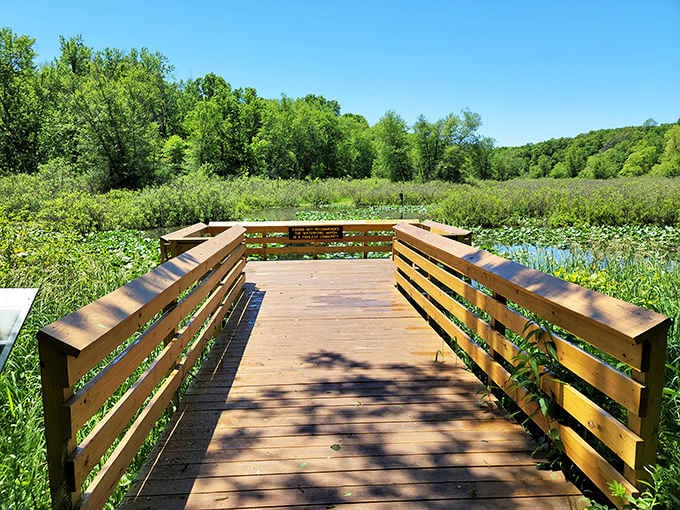 Boardwalks leading to views that make you understand why people write poetry about nature.