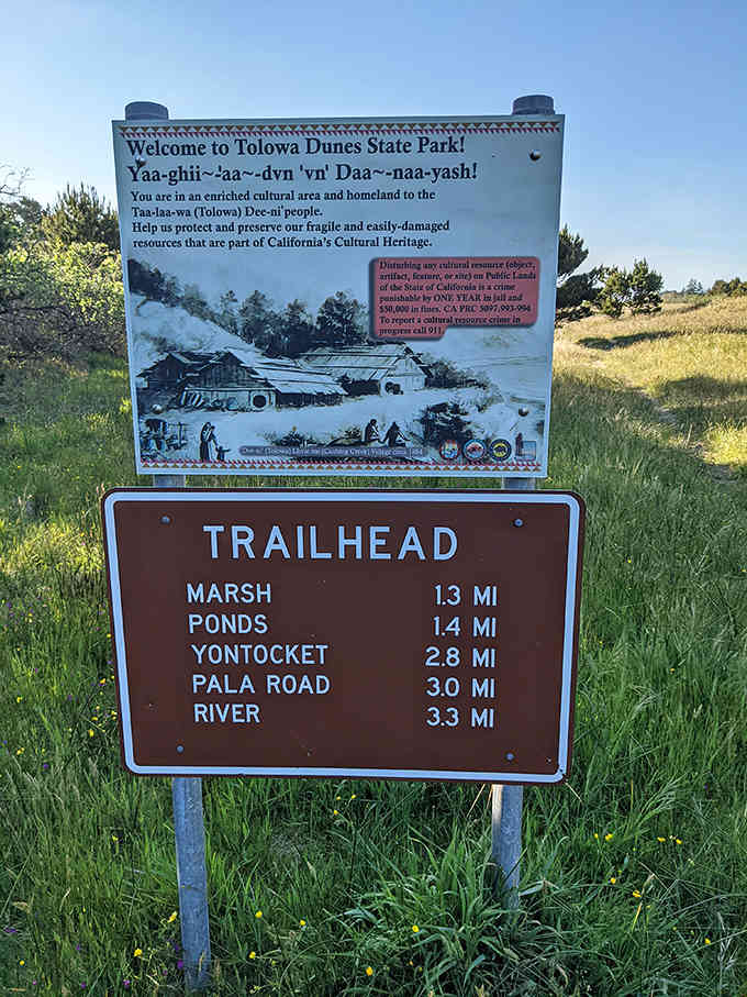 Trail distances clearly marked, because getting wonderfully lost in nature is romantic until you're actually, genuinely lost out there.