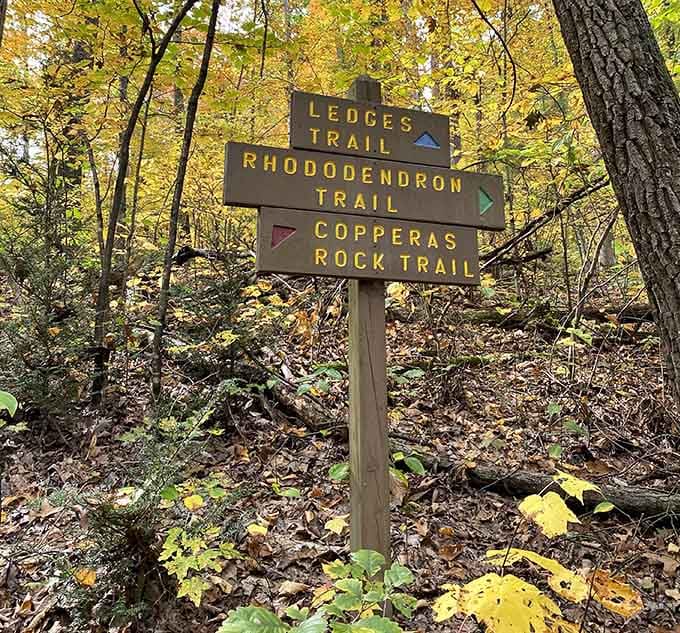 Trail signs pointing to adventures with names that sound like they belong in a fantasy novel you'd actually read.