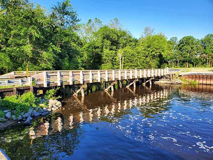 These waterfront bridges connect you to parts of the park where the only traffic is ducks and dragonflies.