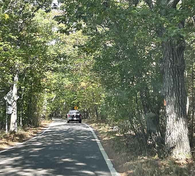 Even the locals can't resist slowing down to soak in views that never get old.