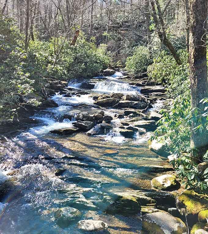 Cascading water dances over layered rocks, creating nature's staircase where moss clings to every sun-dappled surface available.