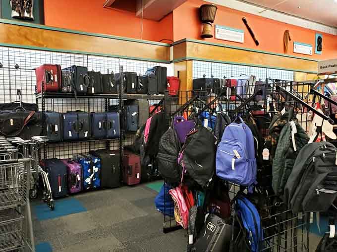 Backpacks and luggage create an ironic display, having themselves become the lost items they were designed to protect and carry.