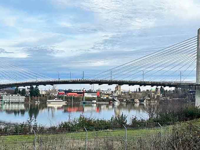 Modern cables slice across the sky, connecting neighborhoods while creating an architectural masterpiece worth photographing.