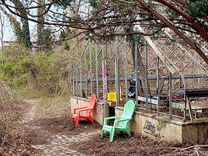 Those mismatched plastic chairs waiting by the greenhouse skeleton suggest someone's hosting the world's most unconventional garden party.