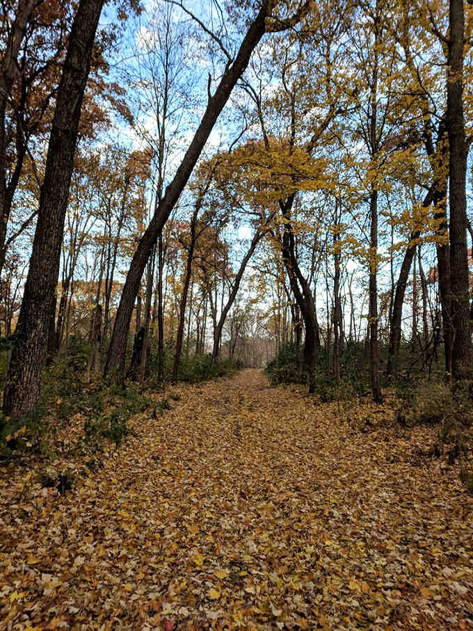 Fall transforms the trails into a crunchy carpet of leaves beneath a canopy of autumn's greatest hits.