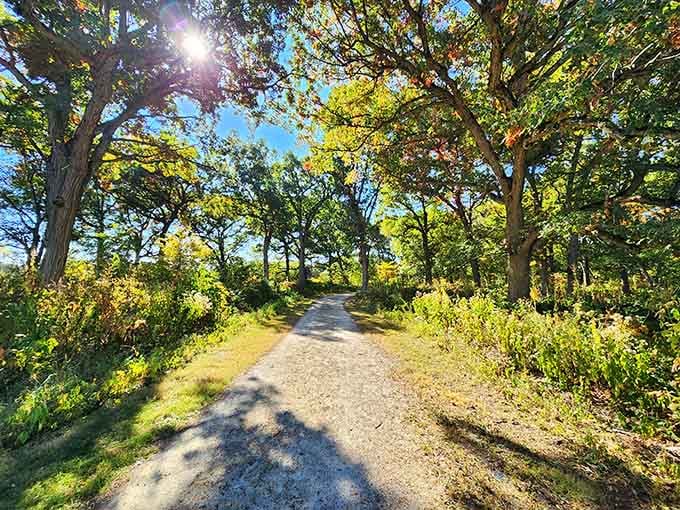 The Kankakee Sands Preserve offers trails where nature does all the talking and your phone can finally stay silent.