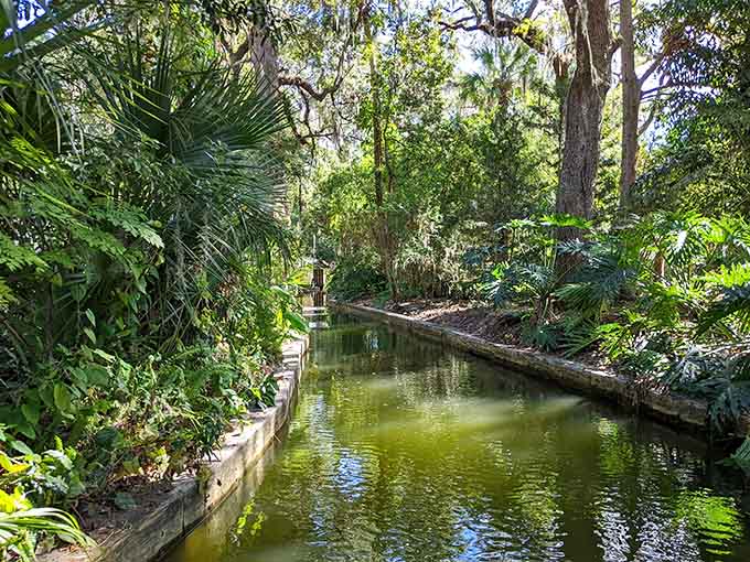 The kind of peaceful waterway where your biggest decision is whether to paddle or just drift along.