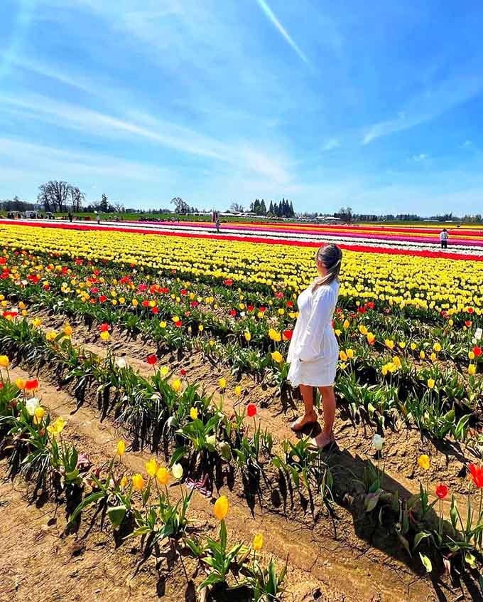 Sometimes you just need to stand in a field of yellow tulips and remember why spring matters.