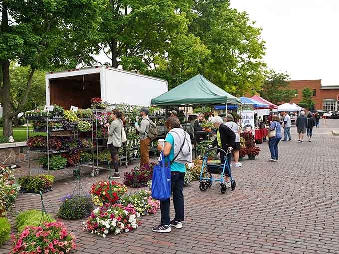 The farmers market brings genuine community together, where neighbors actually talk instead of just scrolling past each other's posts.