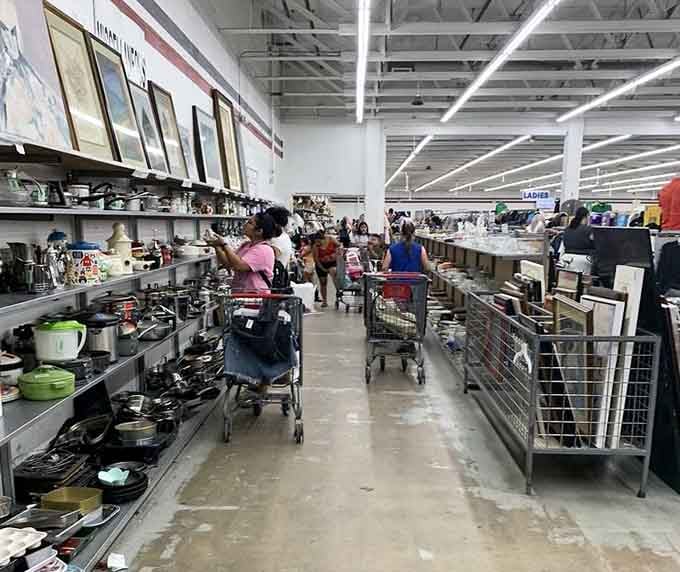 Shoppers navigating aisles of possibility, carts filling up with discoveries that started as simple browsing trips.
