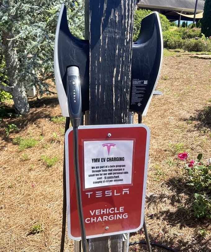 Tesla charging stations at a winery prove that Georgia wine country is keeping up with the times.