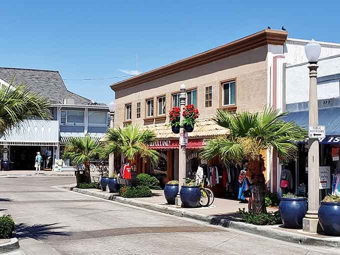 Tropical plants frame classic storefronts where beach culture and Main Street values shake hands and smile.