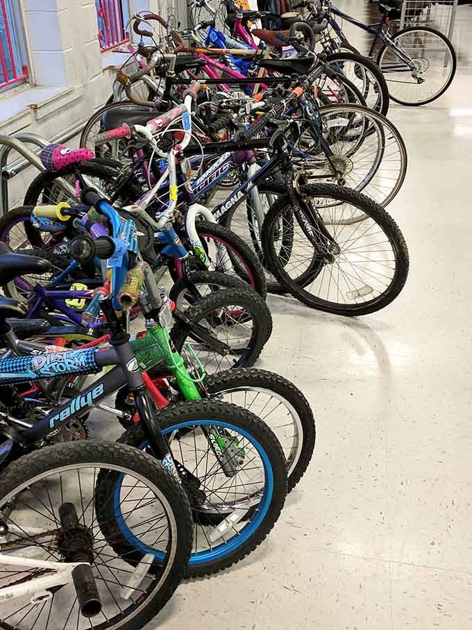 Bikes lined up like a two-wheeled parking lot, each one ready for its next adventure.