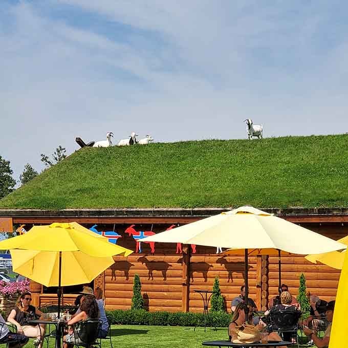Outdoor diners enjoy their meals under bright umbrellas while goats graze overhead in surreal fashion.