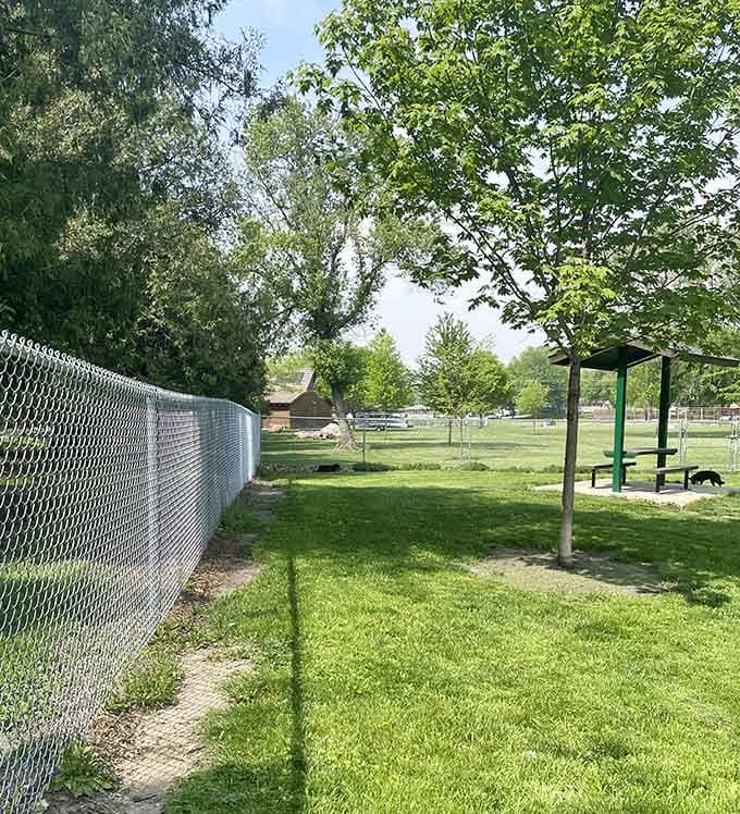 Because your four-legged friend deserves a vacation too, this dog park lets pups stretch their legs properly.