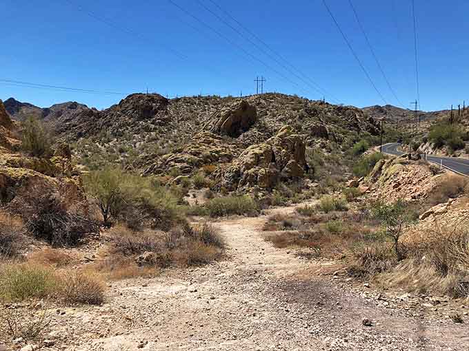 This dusty path winding through the desert whispers promises of adventure to anyone brave enough to listen.