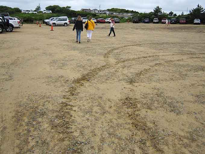 The dusty parking lot fills quickly on summer days, proof that word's gotten out about this gem.