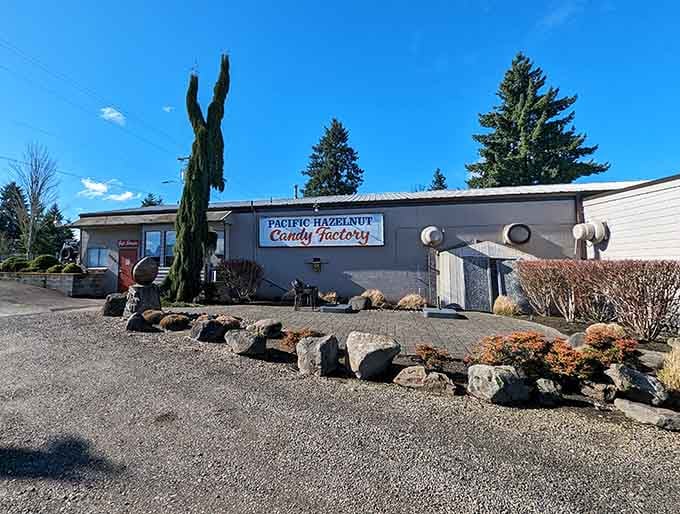 Pacific Hazelnut Candy Factory sweetens your Aurora visit, because antique hunting burns calories that demand delicious replacement immediately.