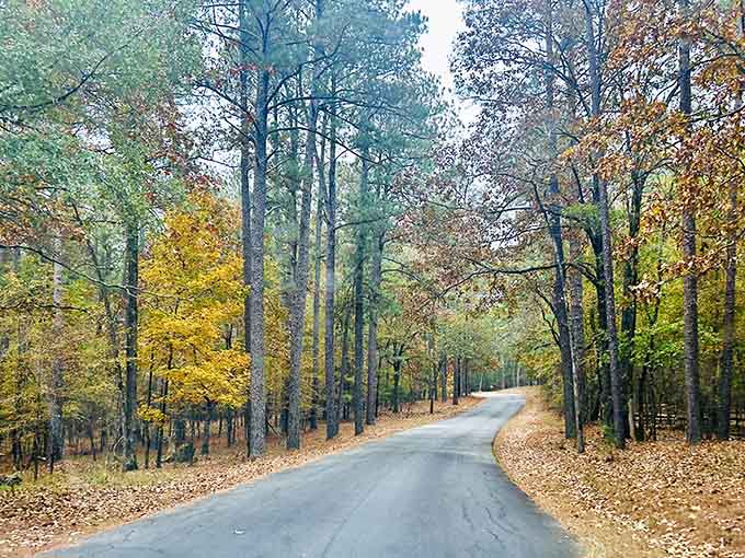 Tree-lined roads that look like something from a postcard, minus the tourist trap prices.