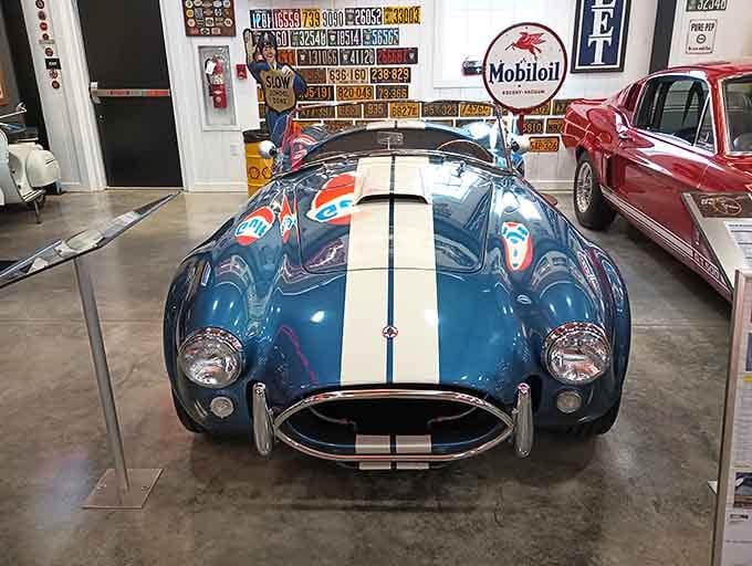 Cobra replicas capture the spirit of racing legends while making that distinctive shape accessible to more admirers.