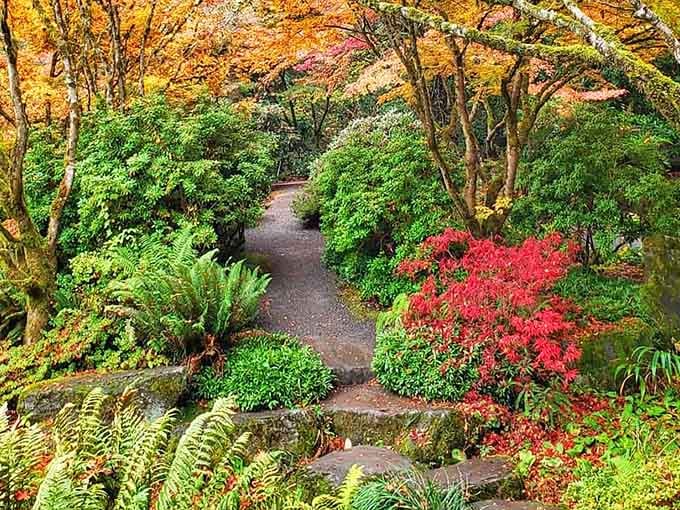 Autumn transforms the Japanese Garden into a masterpiece where every maple leaf deserves its own standing ovation and applause.