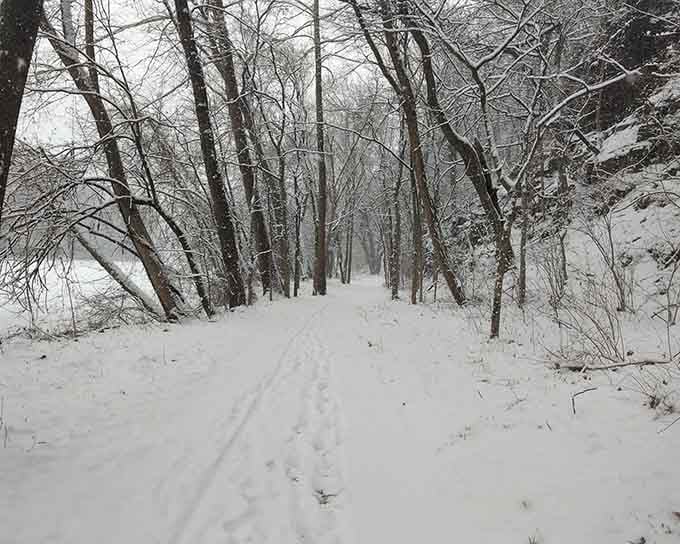 Winter transforms the trails into a serene wonderland where your footprints write the first chapter of each day's story.