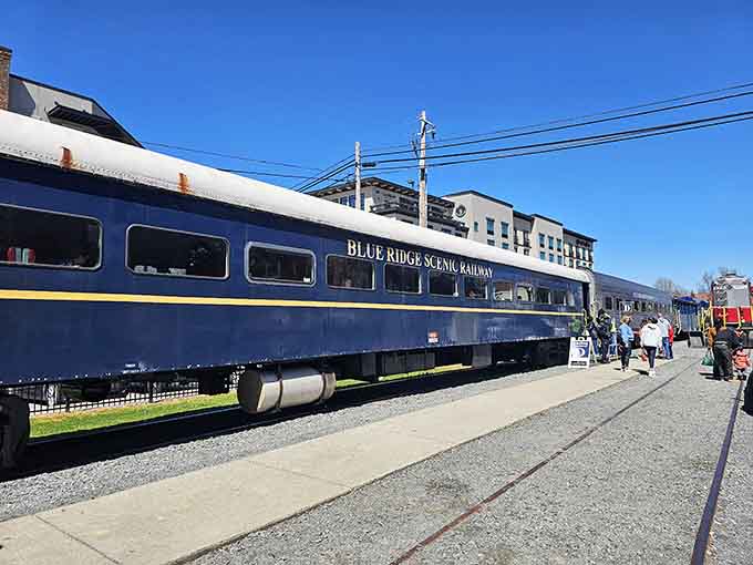 The Blue Ridge Scenic Railway cars lined up at the depot like they're posing for their best angle.