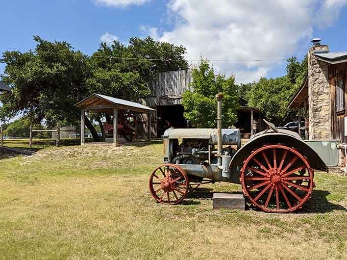 That antique tractor has seen more Texas soil than most of us ever will, earning its retirement in style.