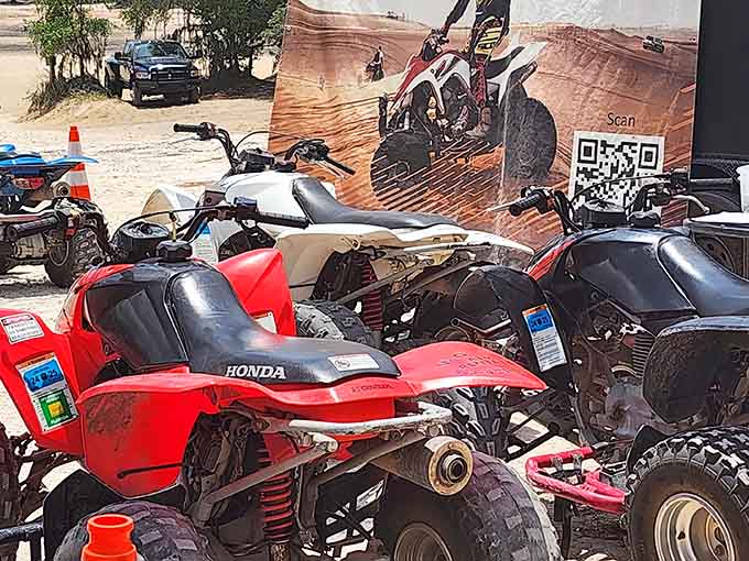 ATVs line up ready for adventure, because sometimes exploring requires four wheels and a sense of humor.