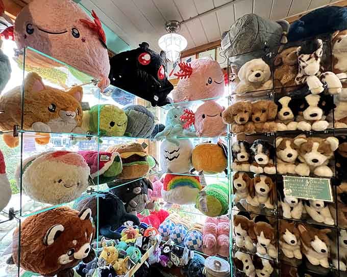 Stuffed animals watching over the shop like adorable security guards who'd rather hug you than stop you.
