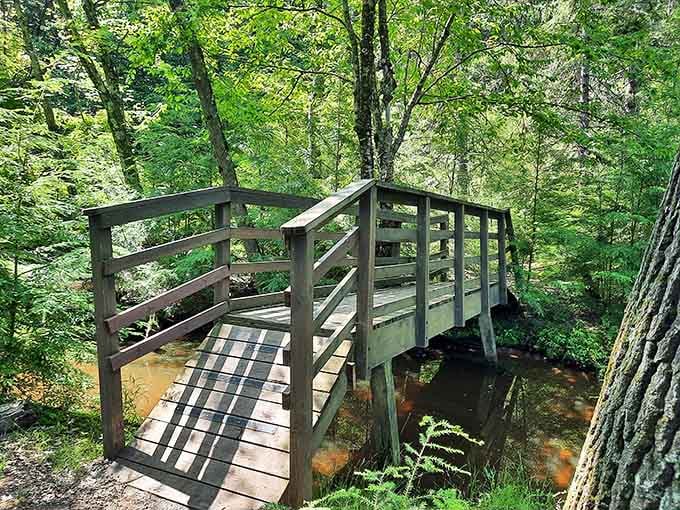 Crossing this charming bridge feels like entering Narnia, except warmer and with significantly fewer talking lions roaming about.