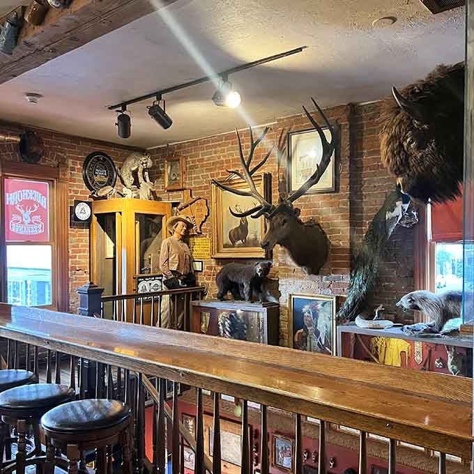 Even the stairway landing doubles as a museum, with taxidermy and artifacts turning every corner into a historical discovery.
