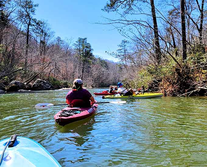 Kayakers gliding through South Sauty Creek, discovering that the best therapy doesn't require an appointment or a copay.