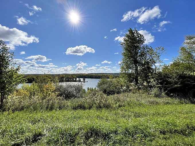 Dense forest canopy stretching to the horizon, proving flatland stereotypes wrong one spectacular vista at a time.