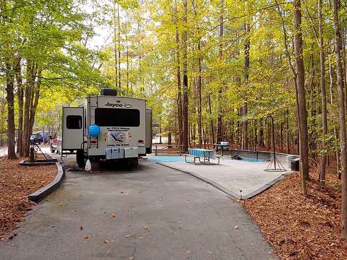 RV camping with actual elbow room, because your vacation shouldn't feel like a sardine convention with wheels.