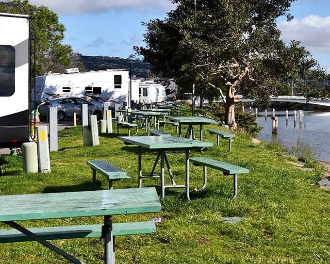 Waterfront picnic tables let you dine with views that restaurants charge extra for on purpose.