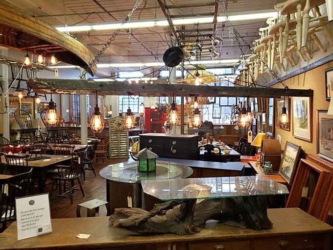 The sheer variety here means you could visit weekly for a year and still discover something new hiding around every corner.