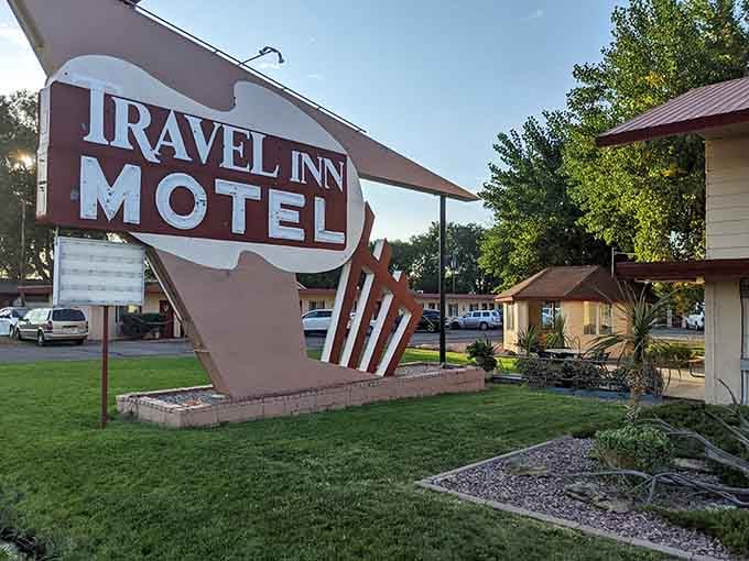 Vintage motel signs glow with mid-century charm, nostalgic reminders of road trips before GPS ruined getting lost.